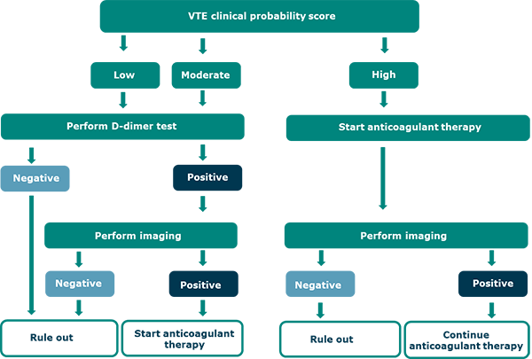 Venous thromboembolism (VTE)